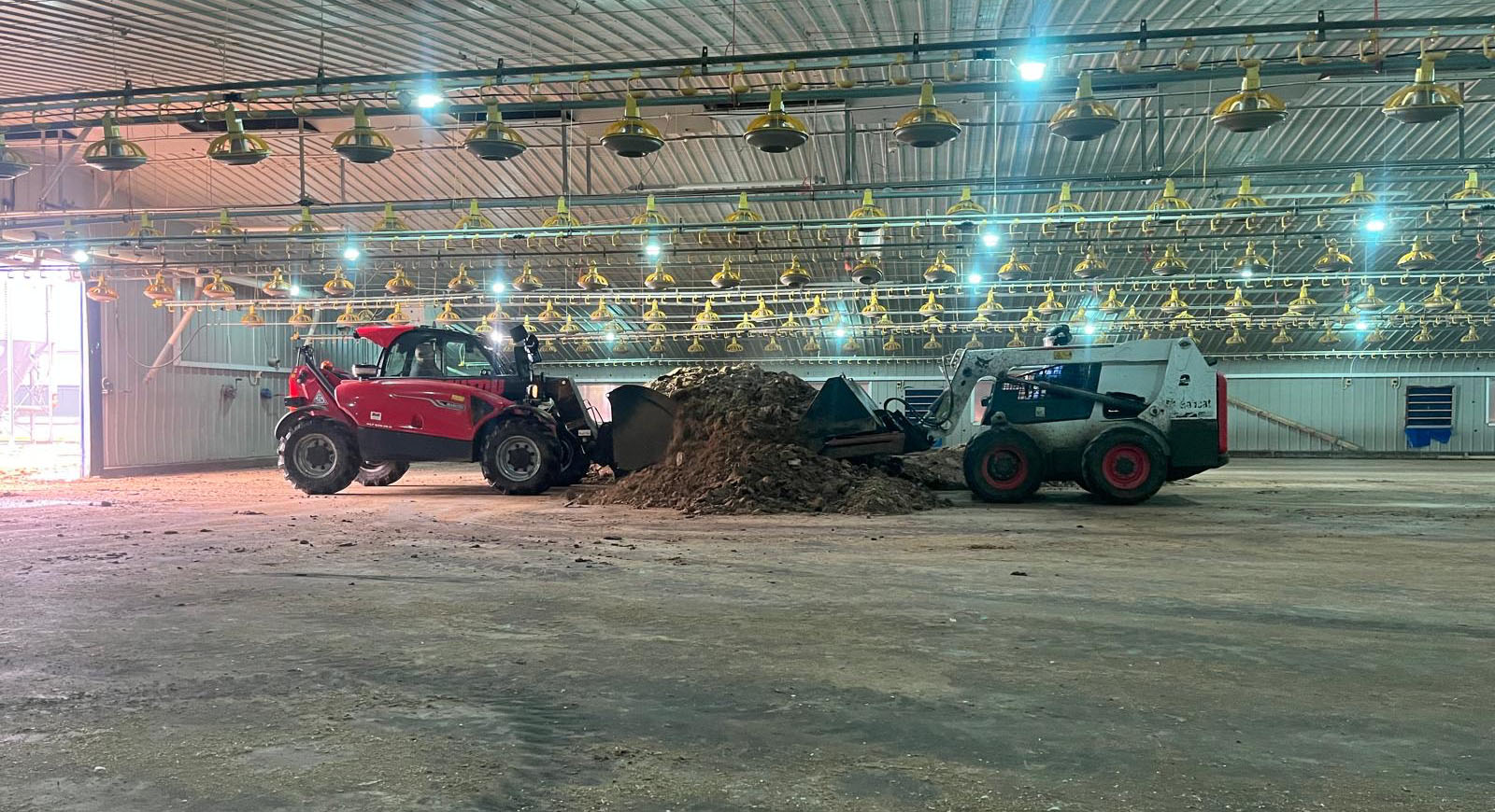 Chicken Manure | Devonshire Poultry